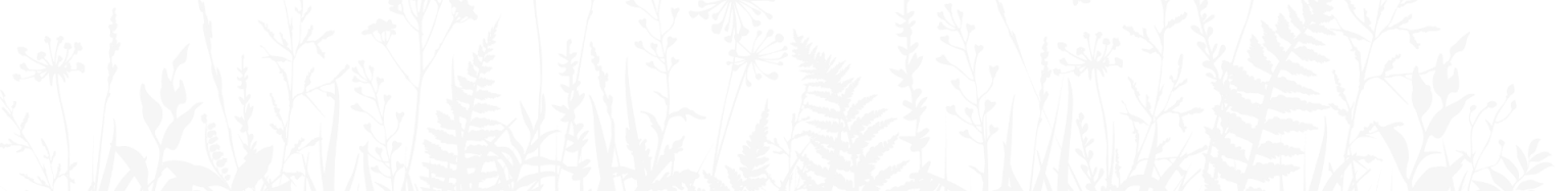 Borderline Personality Disorder (BPD) Treatment